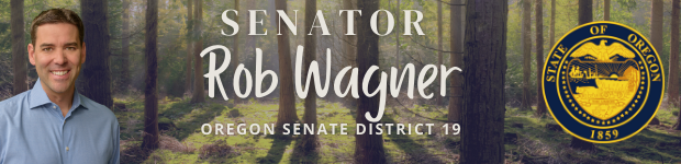 Senator Rob Wagner Biography